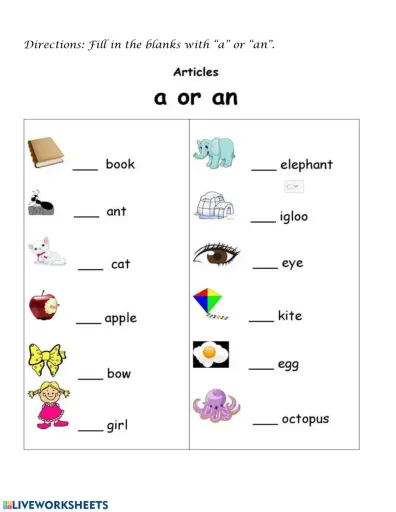 A AN Interactive Worksheet – Edform