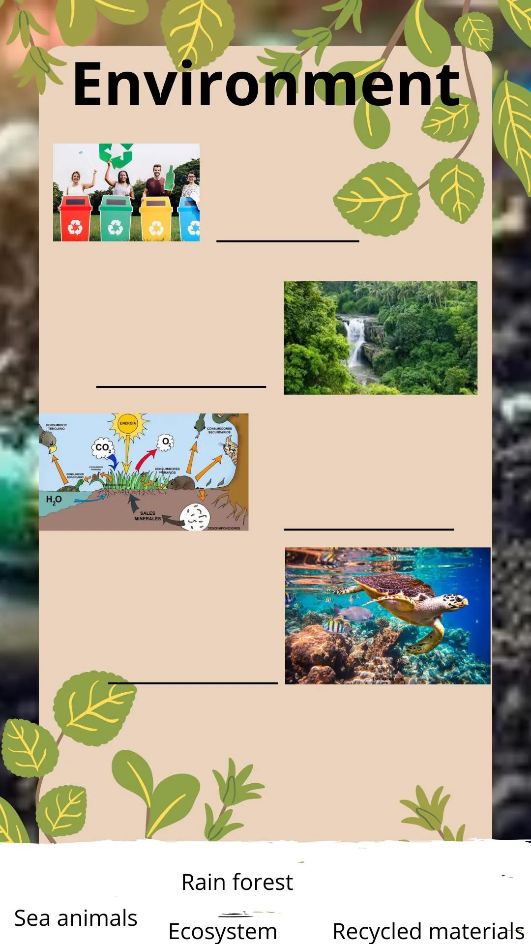 environment Interactive Worksheet – Edform