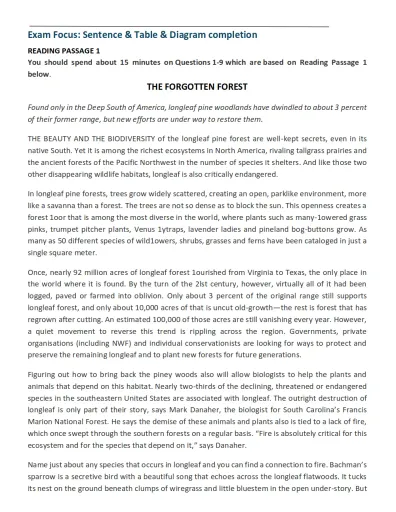 UNIT 3 COMPETENCES READING Interactive Worksheet – Edform