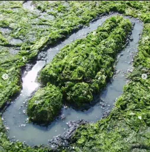 Screenshot 2 Interactive Worksheet – Edform