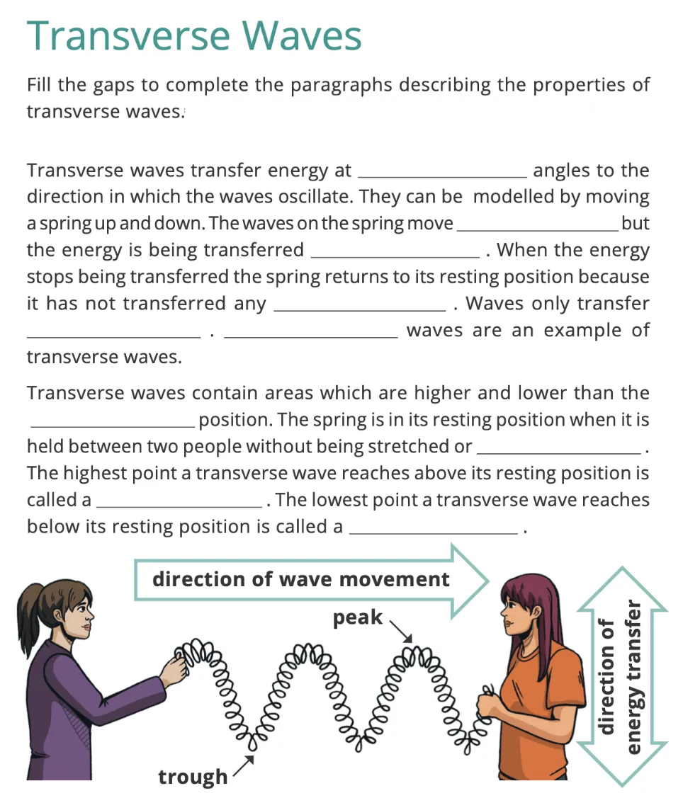 Quiz Worksheet Characteristics Of Transverse
