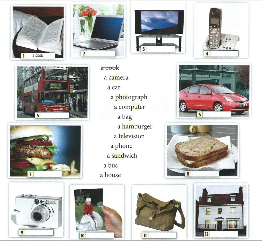 Human Made Resources Examples