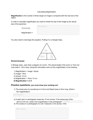 Copy of calculating magnification worksheet Interactive Worksheet – Edform