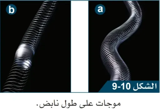 Capture Interactive Worksheet – Edform