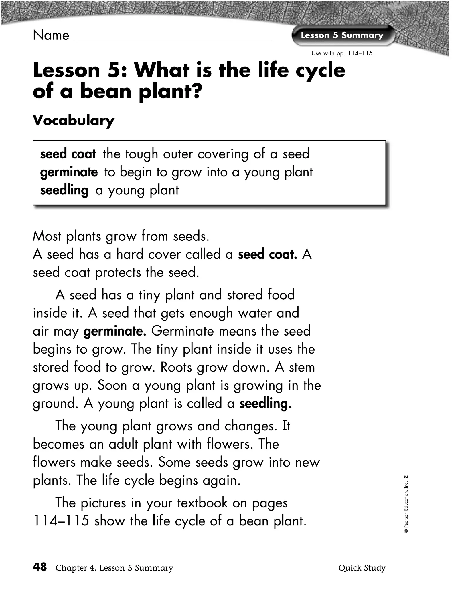 Unit 5 - Science 2 - Study note Interactive Worksheet – Edform