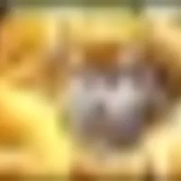 Never send (disable) automatic sample submission Interactive Worksheet ...