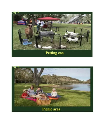 Flash card movers Interactive Worksheet – Edform