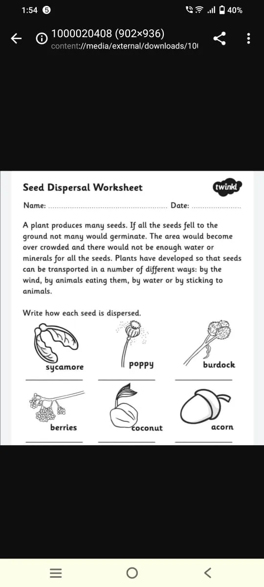 IMG 20230429 WA0006 Interactive Worksheet – Edform