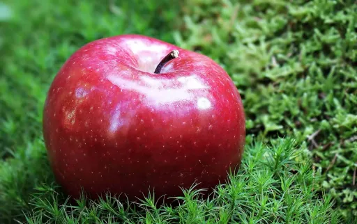 APPLE Interactive Worksheet – Edform
