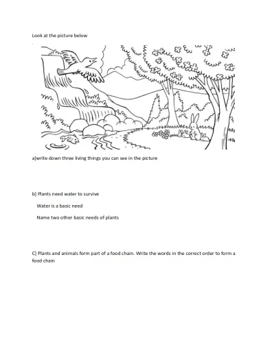Year 4 science exam Interactive Worksheet – Edform