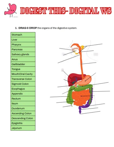DRAG.docx Interactive Worksheet – Edform