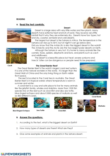 105131421464782 6th grade Interactive Worksheet – Edform