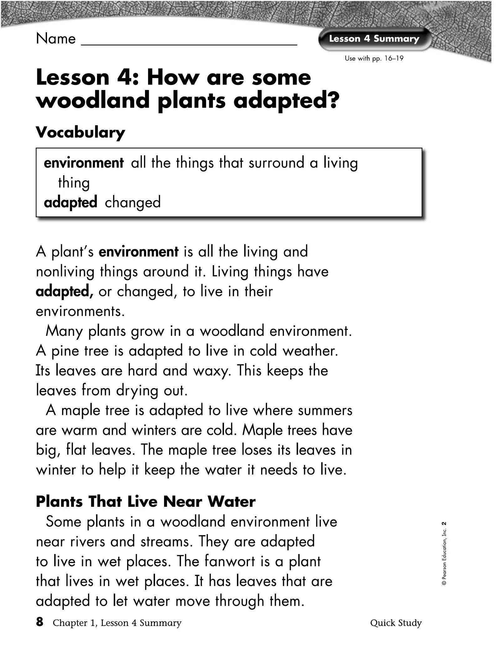 Pearson Education Inc Biology Worksheets Answers SOLUTION: Pearson