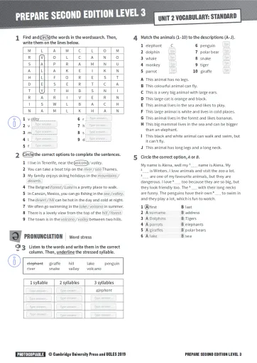Subject-Verb Agreement Practice Interactive Worksheet – Edform