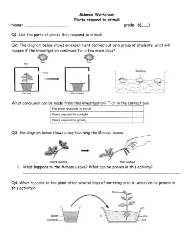 plants respond to stimuli Interactive Worksheet – Edform