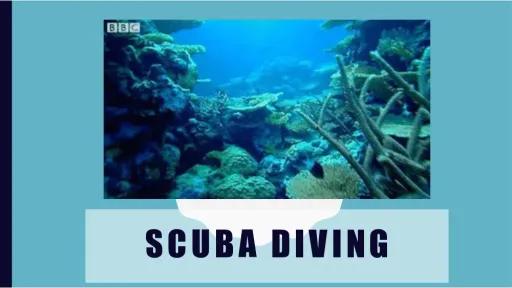 Scuba diving compress Interactive Worksheet – Edform