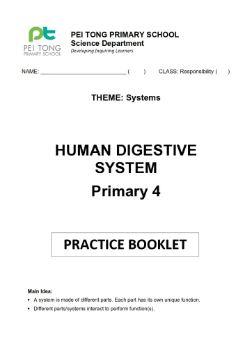 2023 P4 Practice (Human Digestive System) Interactive Worksheet – Edform