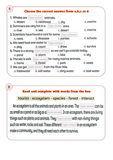 1 Interactive Worksheet Edform