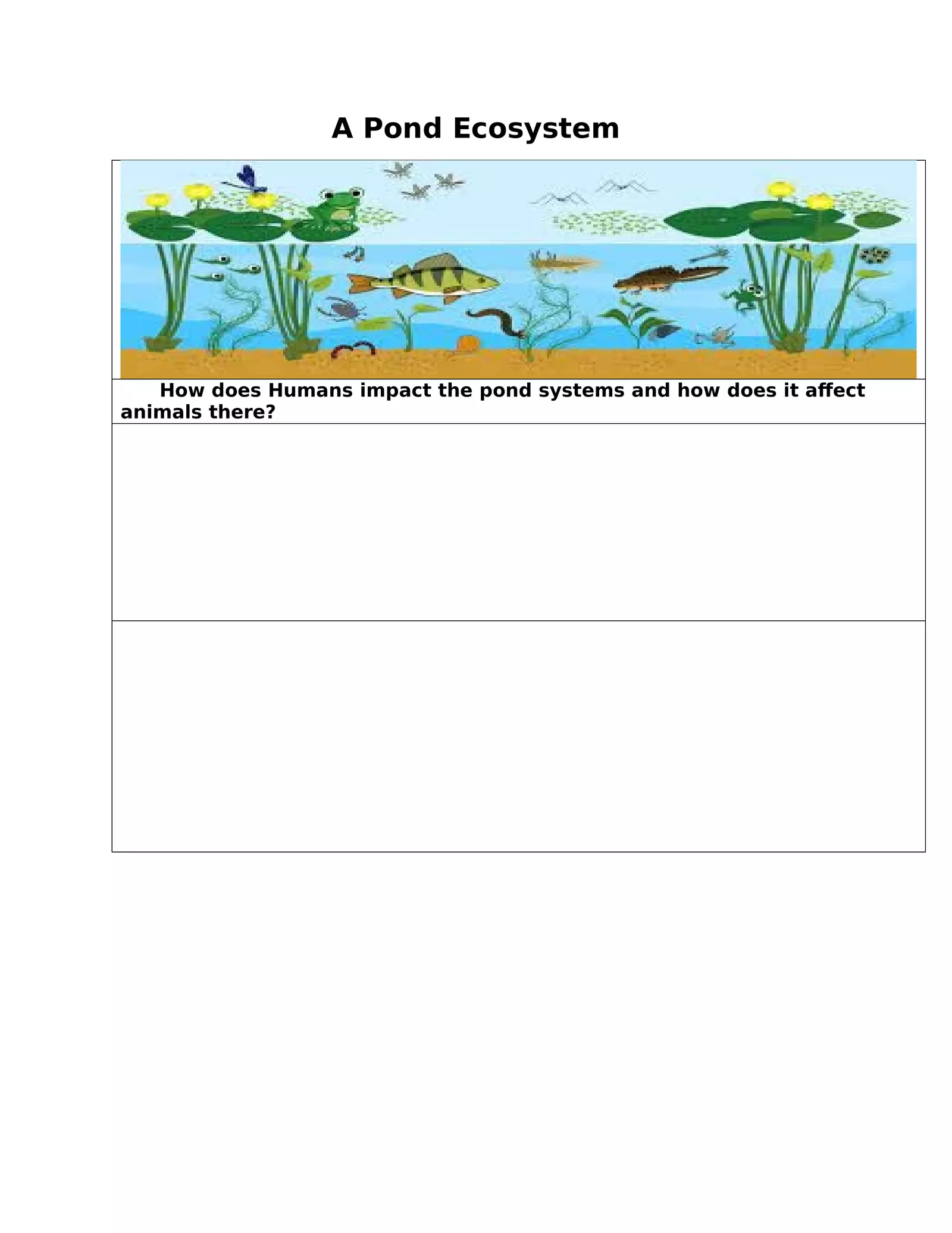 Ecosystem level H Interactive Worksheet – Edform