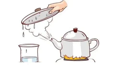 Activity Interactive Worksheet – Edform