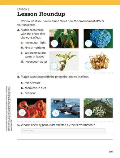 Science Unit 6 Quiz 1 Interactive Worksheet – Edform