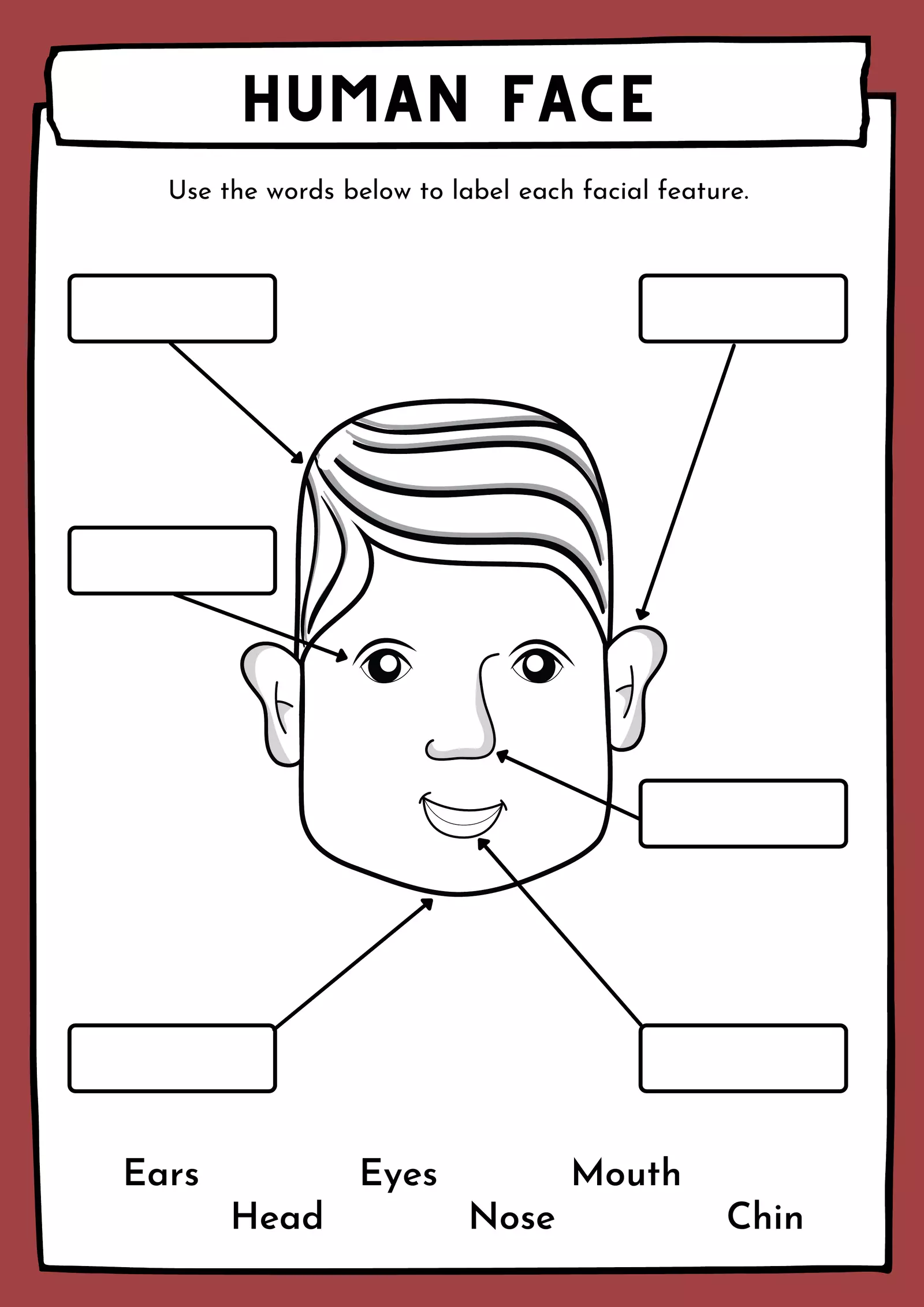 how to draw the human face worksheet