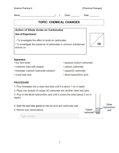 LSS 11 Practical 4 carbon dioxide test Interactive Worksheet – Edform