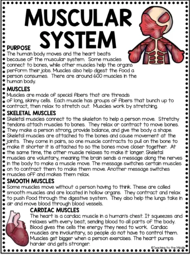 Untitled design Interactive Worksheet – Edform