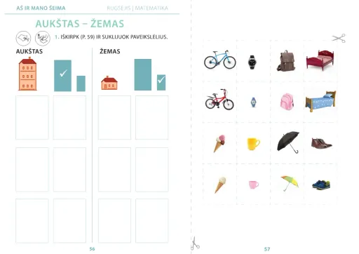 11 Interactive Worksheet – Edform