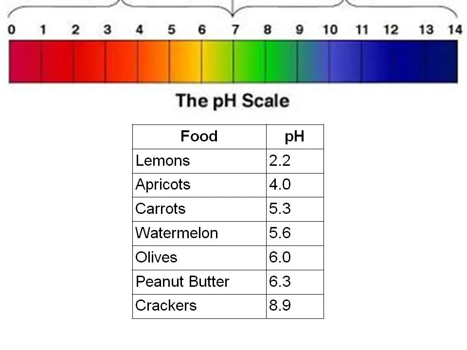Ph Scale Worksheet