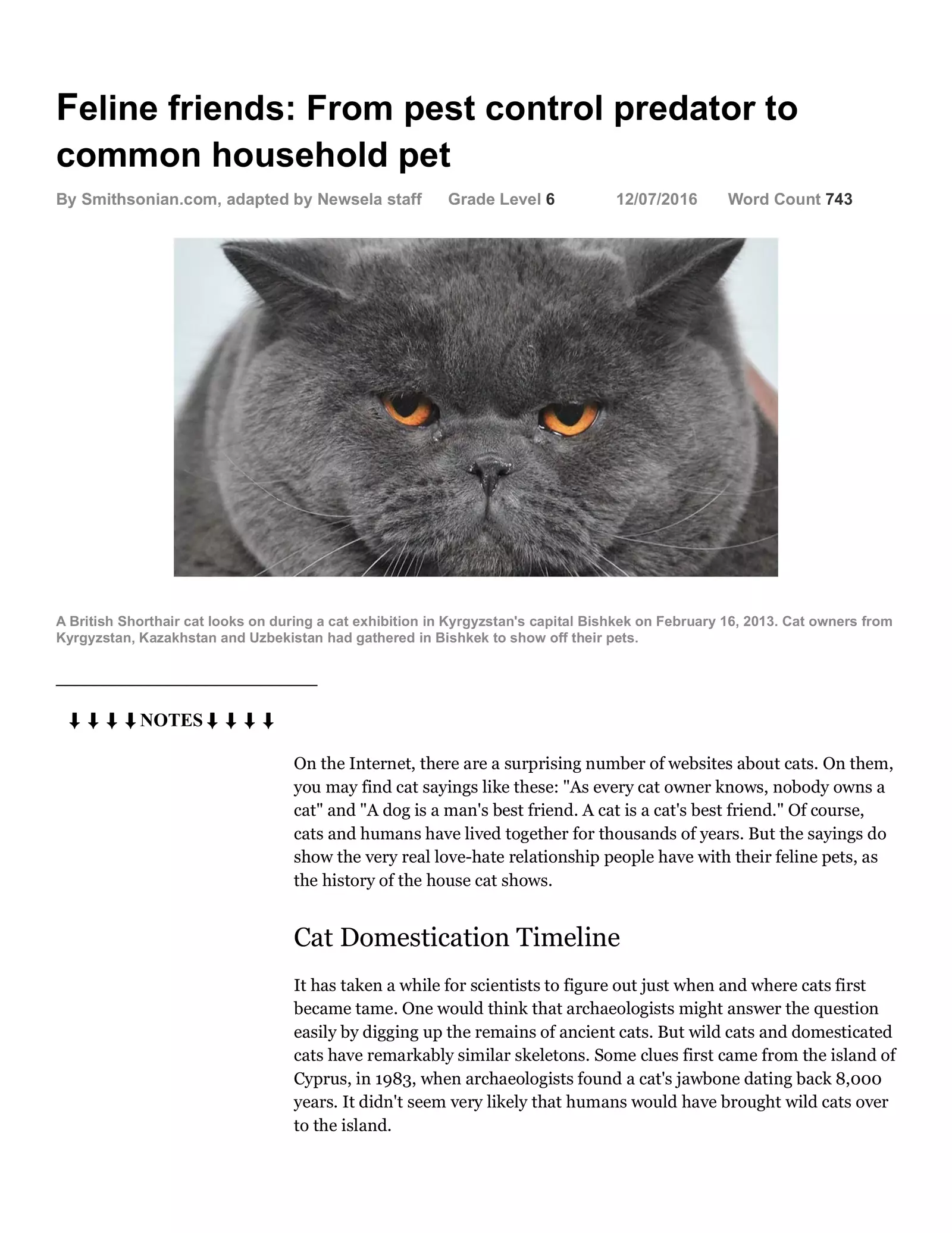 Cat Domestication Timeline